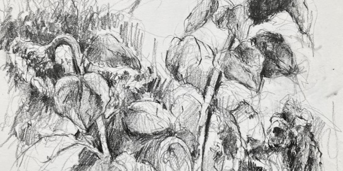 Drawing Skills: Inspiring Sketchbook Drawings | AND Culture